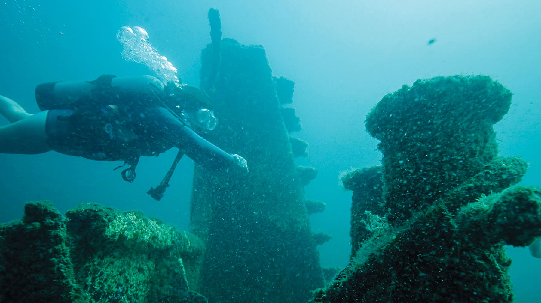 Q & A: Alex Fogg of Destin-Fort Walton Beach’s Artificial Reef Program ...