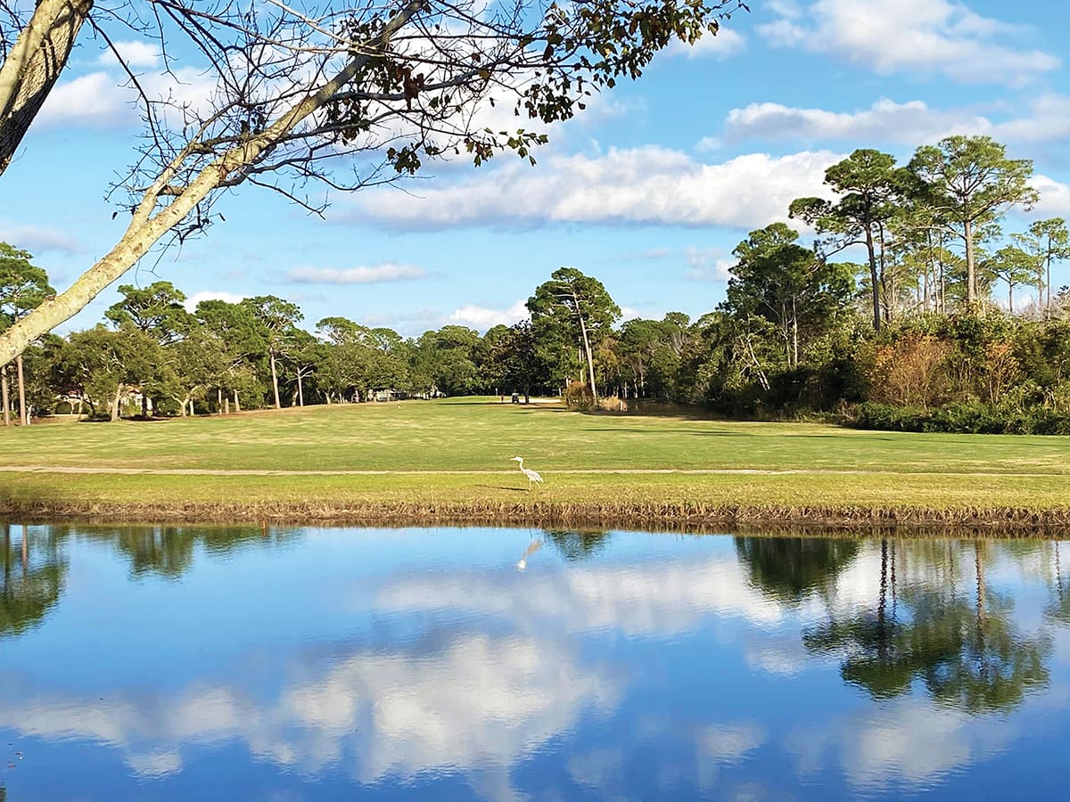 Saving the Green Space: Preserve Bluewater Bay Now a 501c3! - Bay Life ...