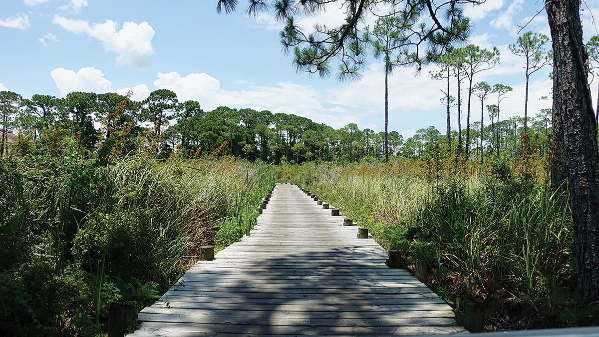 Update on Saving the Green Space at Bluewater Bay - Bay Life | News ...