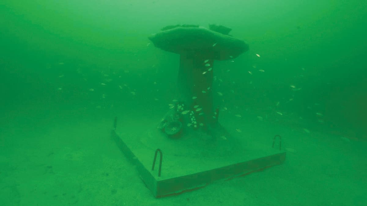 CAA and SWARA Collaborate to Expand the Underwater Museum of Art - Bay ...