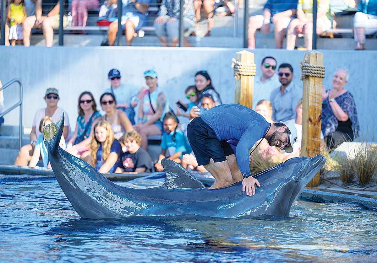 A Celebration of Marine Life: Join Us for Gulfarium’s 2nd Annual CARE ...